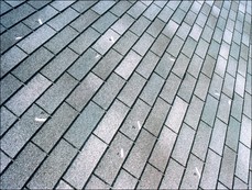 Product: Haag Essentials (Course Bundle)